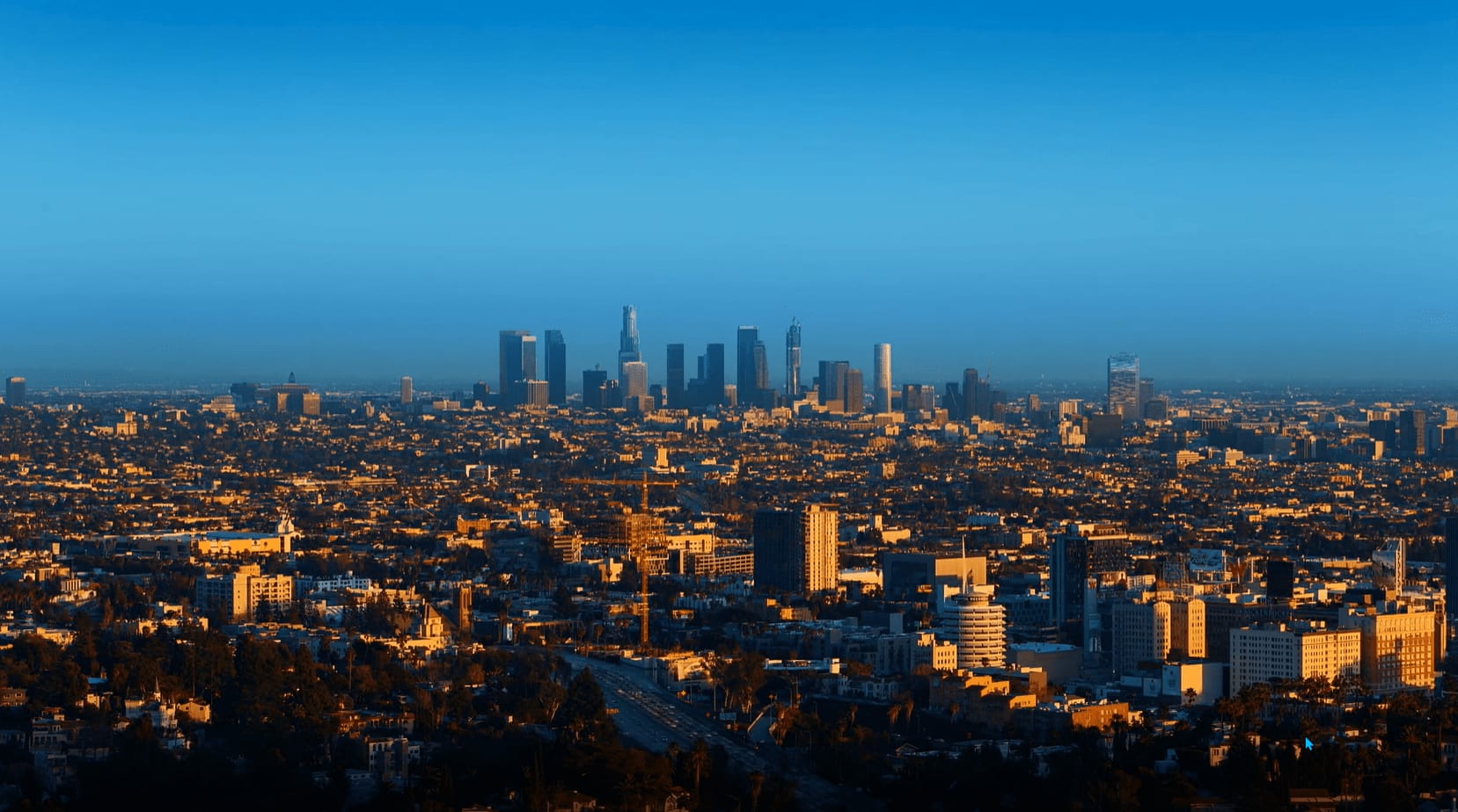 Moss & Company | Southern California Property Management