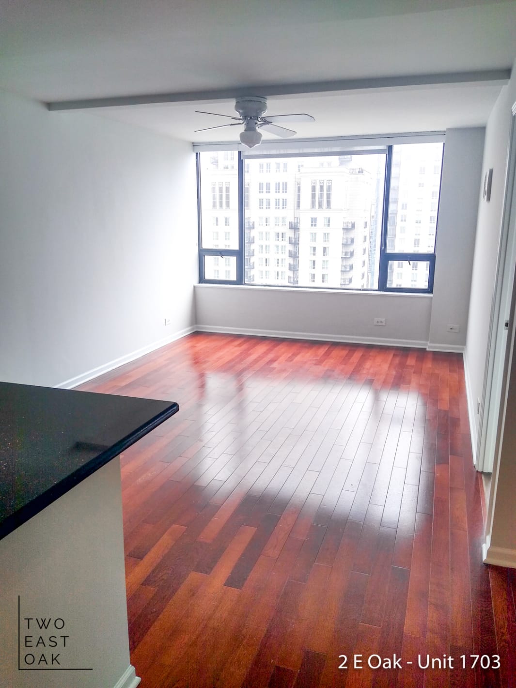 Photos and Video of Two East Oak in Chicago, IL