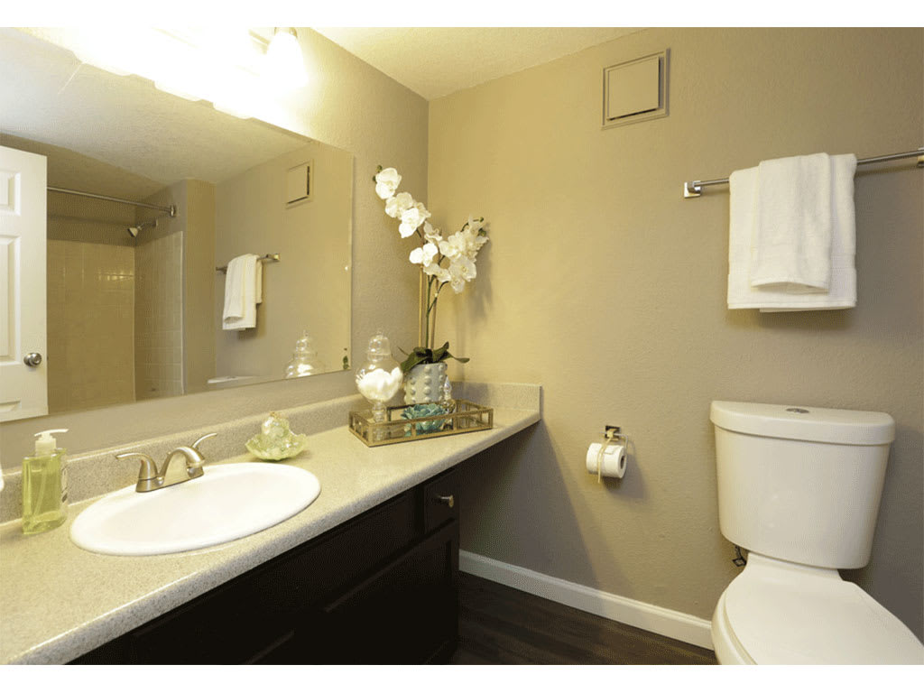 Apartments for Rent In Irving, TX | Water Ridge | Photo Gallery