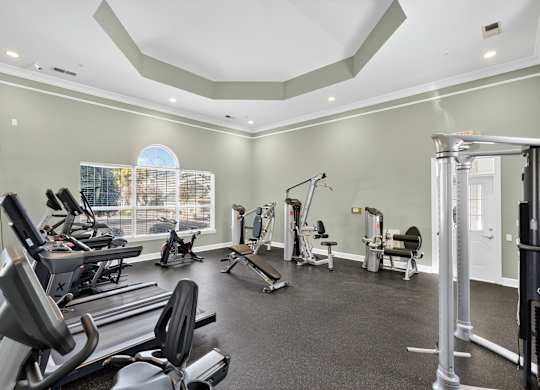 Apartments for Rent in Canton, GA | Alexander Ridge