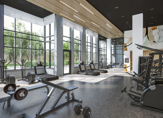 Photos and Video of Element in Ottawa, ON