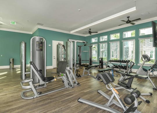 Photo Gallery | Dunedin Commons Apartments in Dunedin, FL