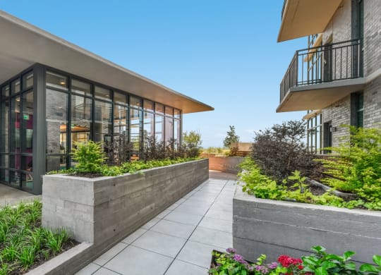 Photos and Video of The Hamilton in Dallas, TX