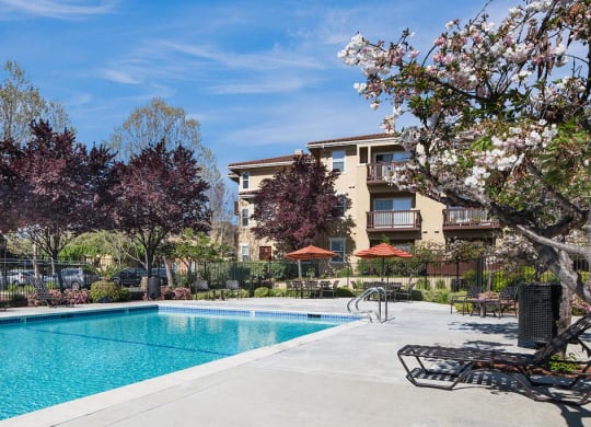 San Ramon, CA Apartments for Rent | Cornerstone Apartments