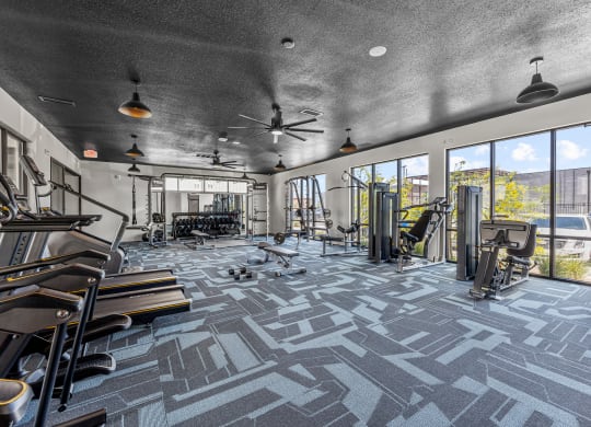 Photos and Video of Desert Commons East in El Paso, TX