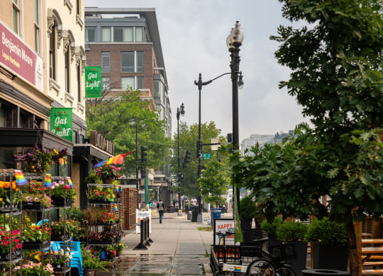 Photos and Video of District Apartments in Washington, DC