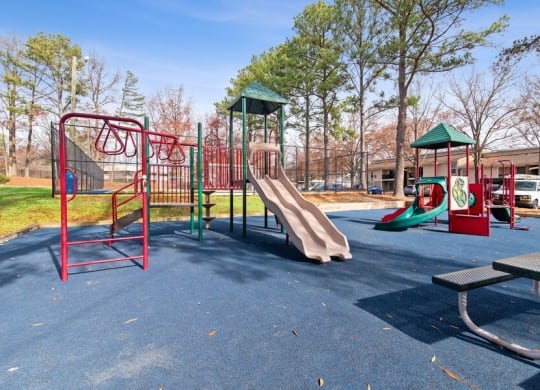 Photos & Videos | Tree Top | Raleigh, NC