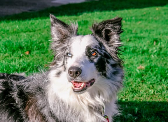 Urban North | Apartments in Austin, TX