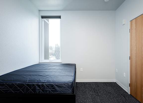 Photos and Video of Flock13 in Eugene, OR