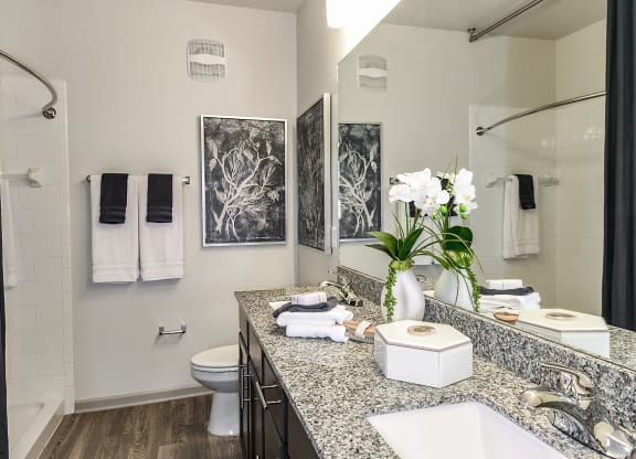 Photo Gallery | Dunedin Commons Apartments in Dunedin, FL