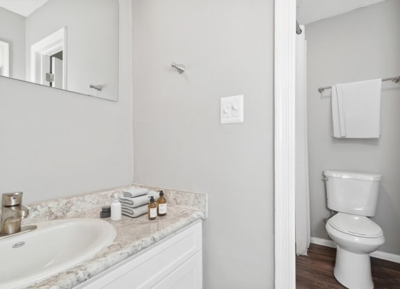 Photos & Videos | Tree Top | Raleigh, NC