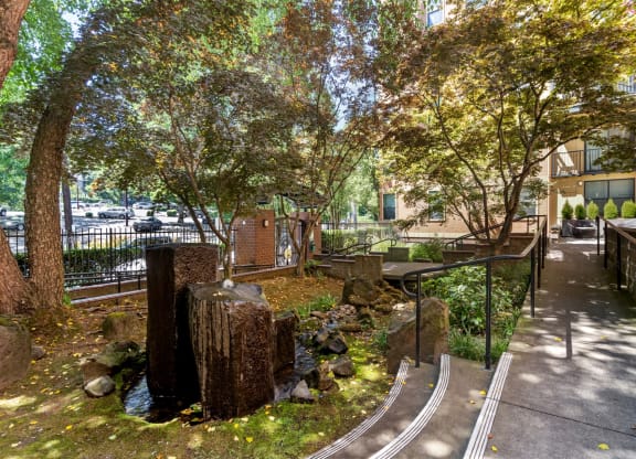 Photos and Video of Collins Circle in Portland, OR