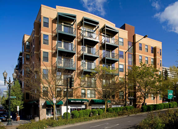 Photos and Video of Collins Circle in Portland, OR