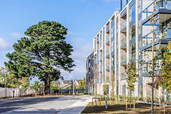 Occu Living Ltd | Apartments in Dublin 4, | RENTCafe