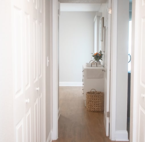 Photos and Video of The Element at River Pointe in Jacksonville, FL