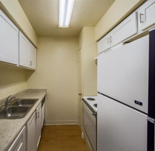 Photos and Video of Willow Tree Apartments in Houston, TX