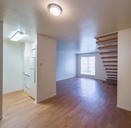 Photos and Video of Willow Tree Apartments in Houston, TX