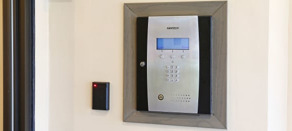 Photos and Video of Palisades in Roseville, MN