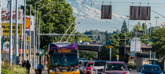 Photos and Video of Muir in Seattle, WA