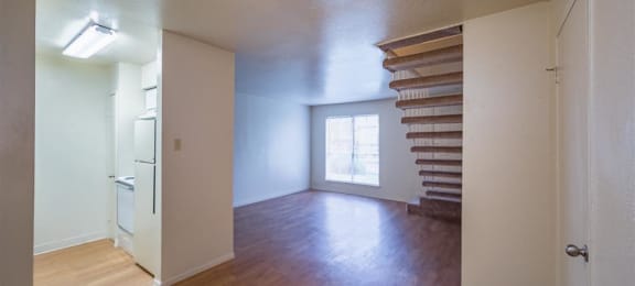 Photos and Video of Willow Tree Apartments in Houston, TX