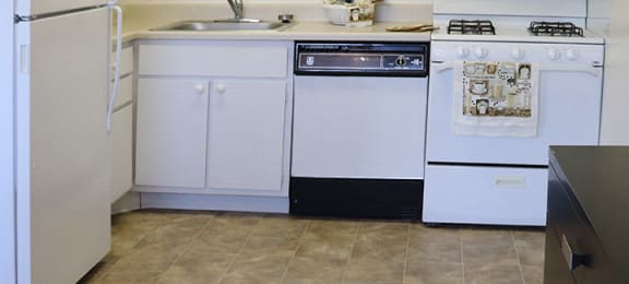 Photos and Video of Springside Manor in Shillington, PA