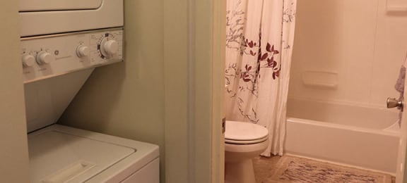 Photos and Video of Spring Ridge Apartments in Whitehall, PA