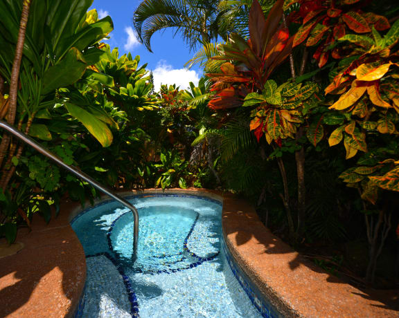 Coconut Inn Apartments in Lahaina, HI