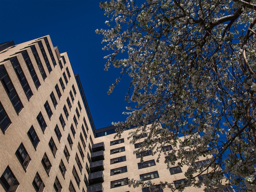 Photos and Video of Archer Tower in Denver, CO