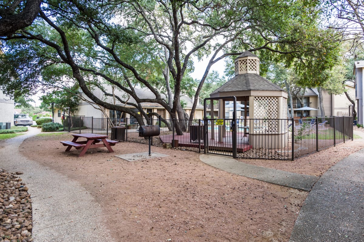 Photos and Video of Landera in San Antonio, TX