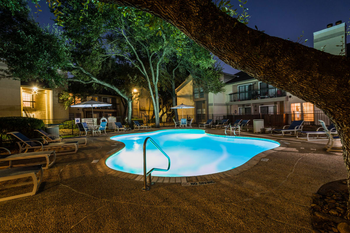 Photos and Video of Landera in San Antonio, TX