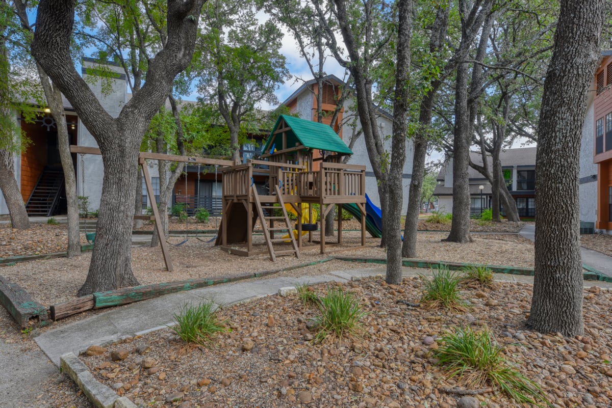Photos and Video of Landera in San Antonio, TX