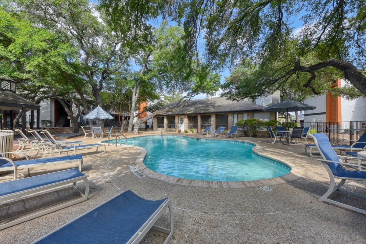 Photos and Video of Landera in San Antonio, TX