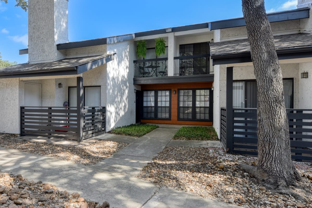 Photos and Video of Landera in San Antonio, TX