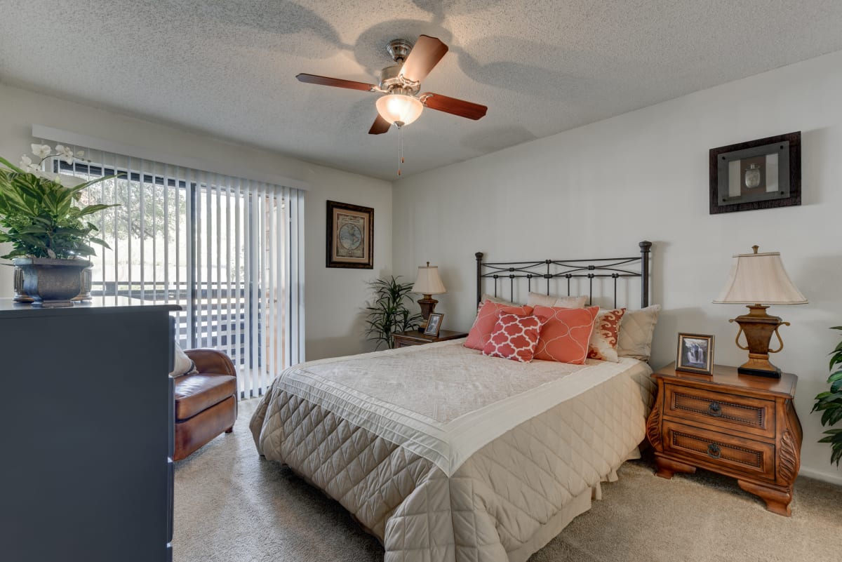 Photos and Video of Landera in San Antonio, TX