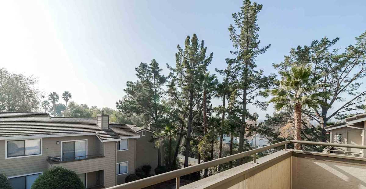 Photos and Video of Lime Ridge in Concord, CA