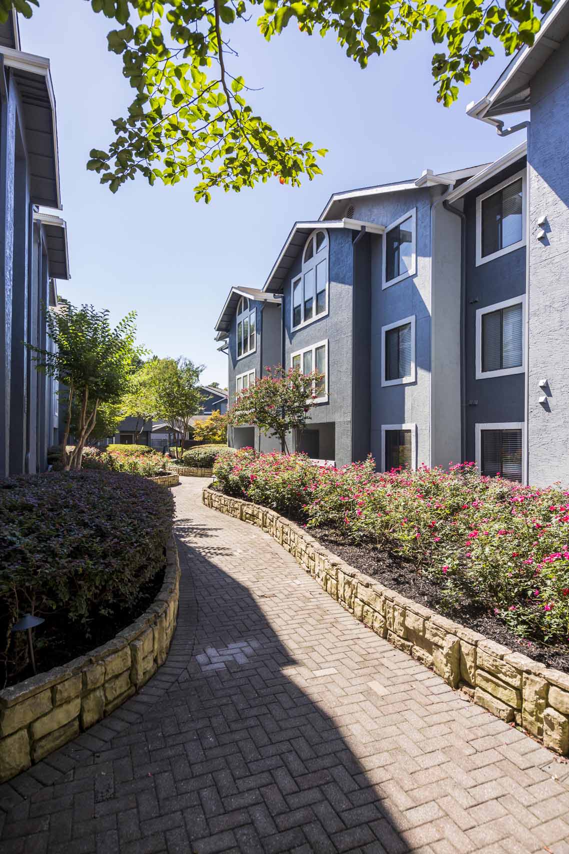 Photos and Video of Aventura Dunwoody in Sandy Springs, GA