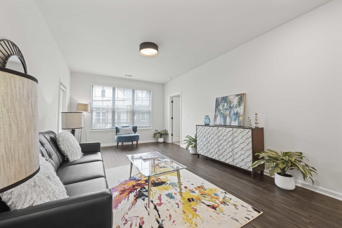 Photos and Video of Giddy Hall in Charlotte, NC