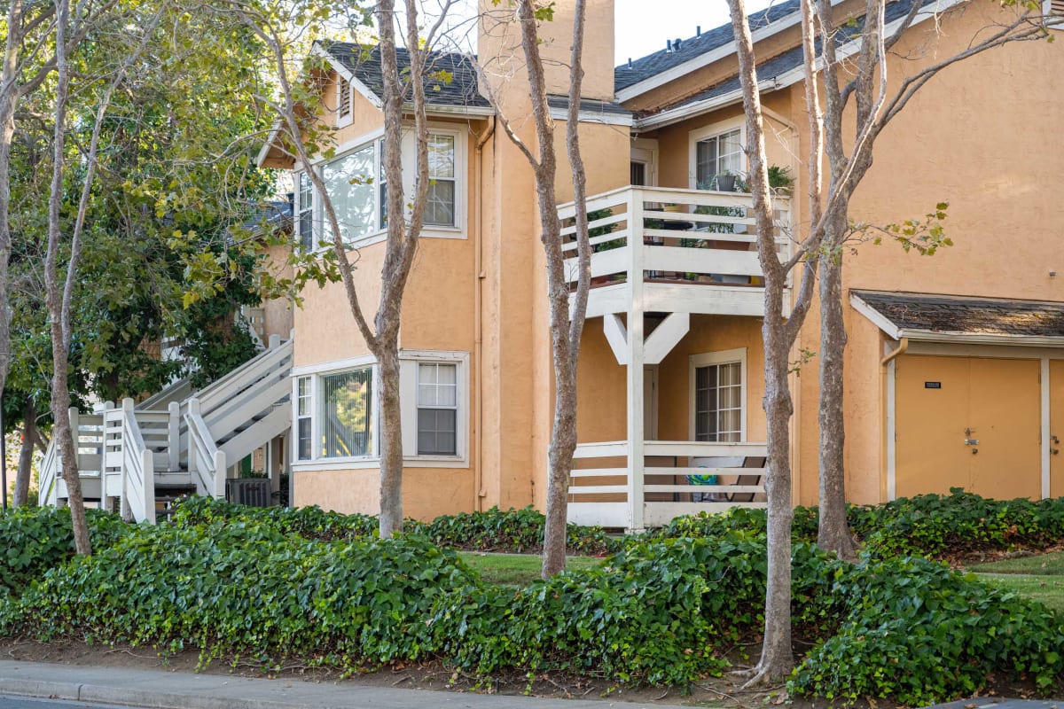 Photos and Video of Sundance in Vallejo, CA