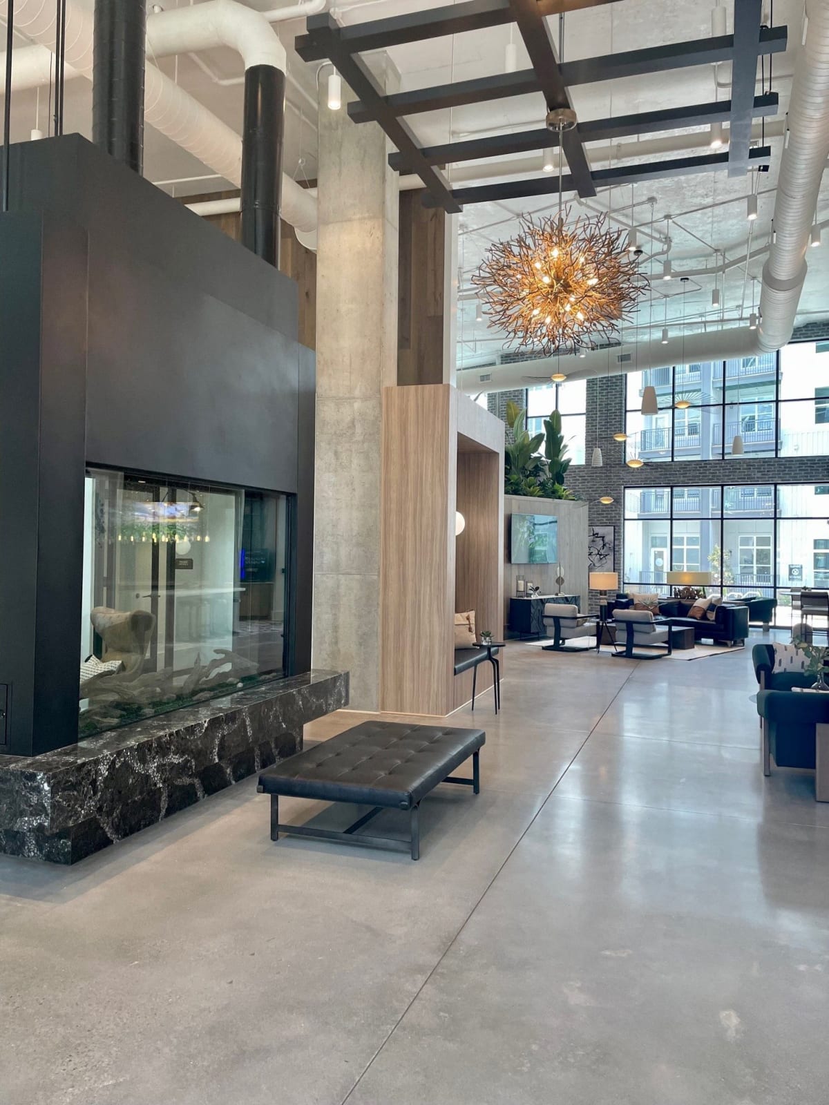 Photos and Video of Alta West Morehead in Charlotte, NC