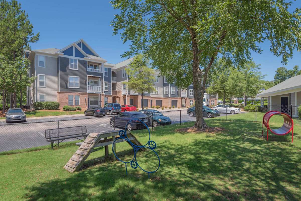 Photos and Video of Aventura RTP in Durham, NC