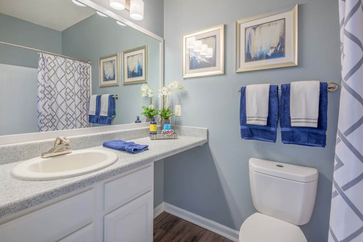 Photos and Video of Aventura RTP in Durham, NC