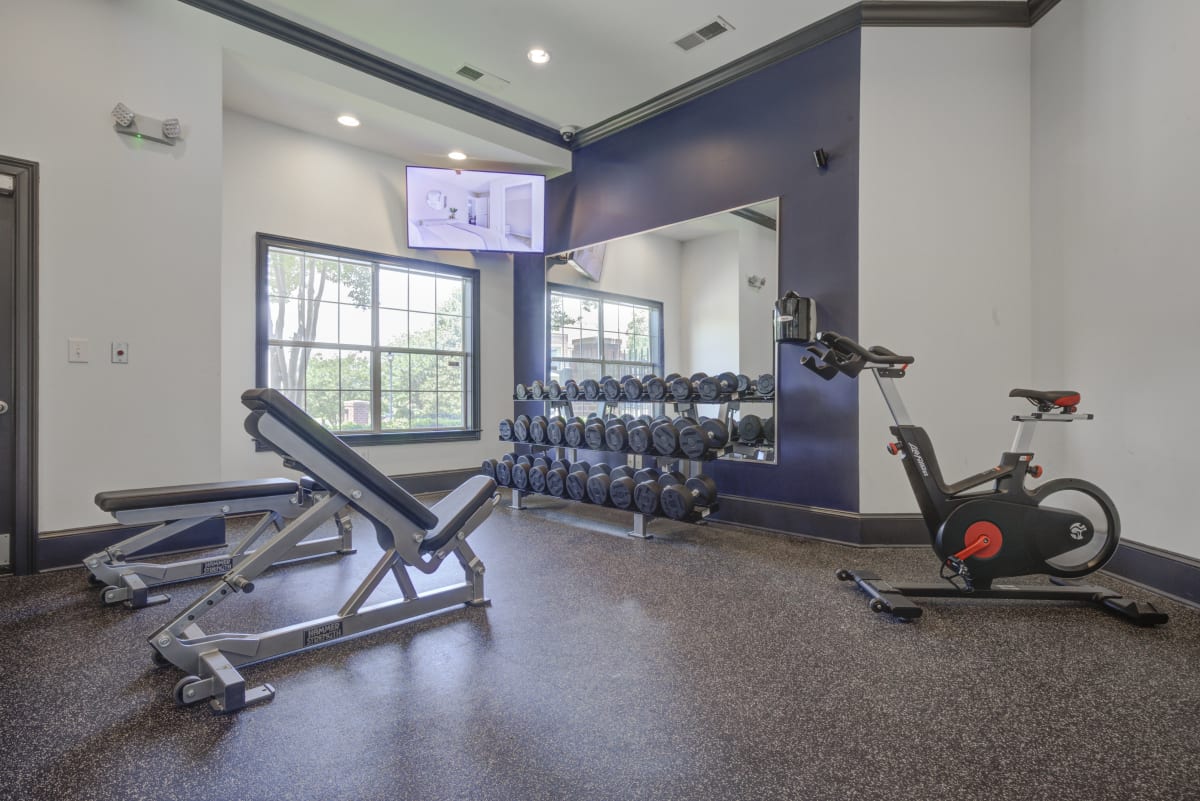 Apartments for Rent in Columbia, SC | Vista Commons