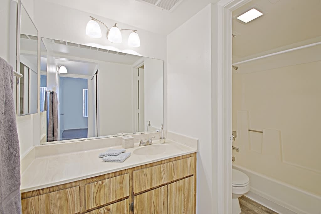 Photos and Video of Mountain View in Avondale, AZ