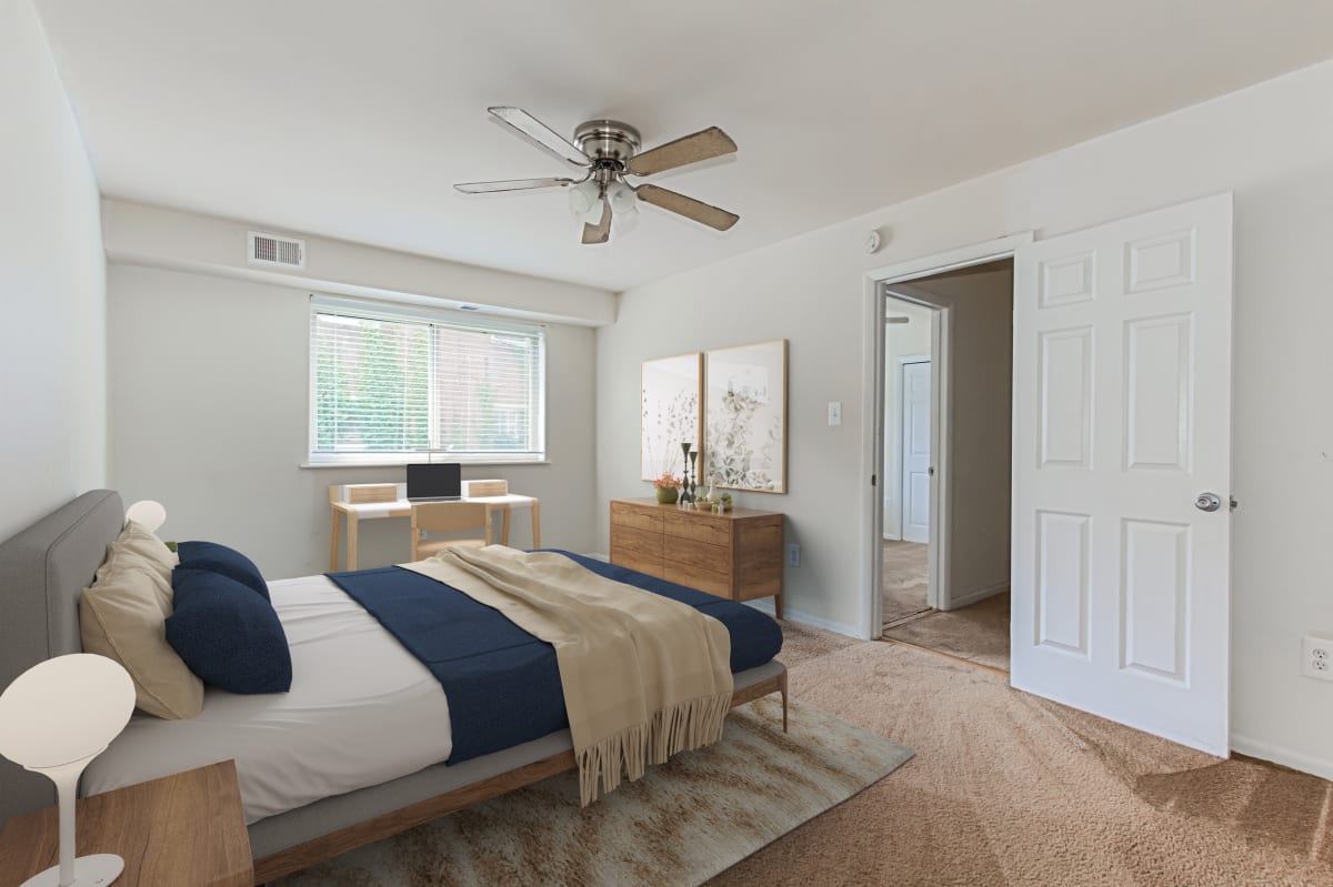 Photos and Video of Halley House in Washington, DC