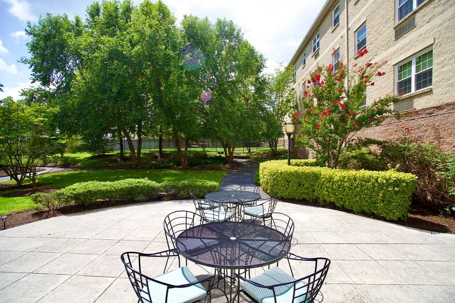 Photos and Video of Park View at Coldspring in Baltimore, MD