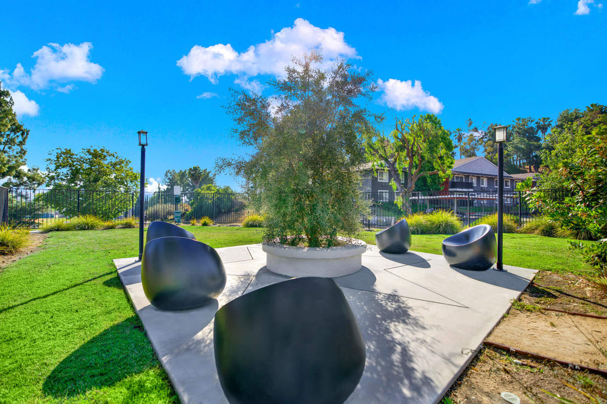 Glimpses of Our Apartments in Canyon Country, CA