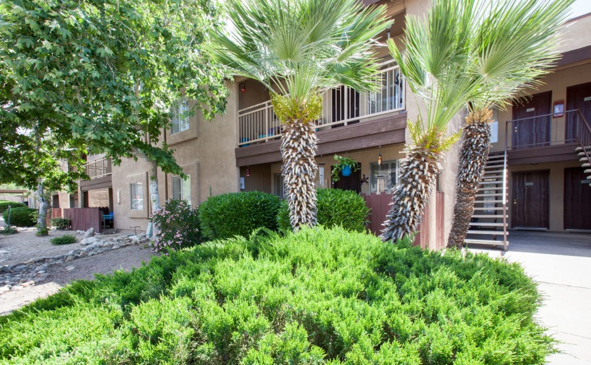 Photos & Tour | Sunrise Ridge Apartments | Phoenix, AZ