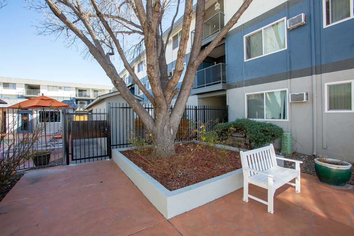 Photos and Video | Encanto Lofts Apartments | Albuquerque, NM