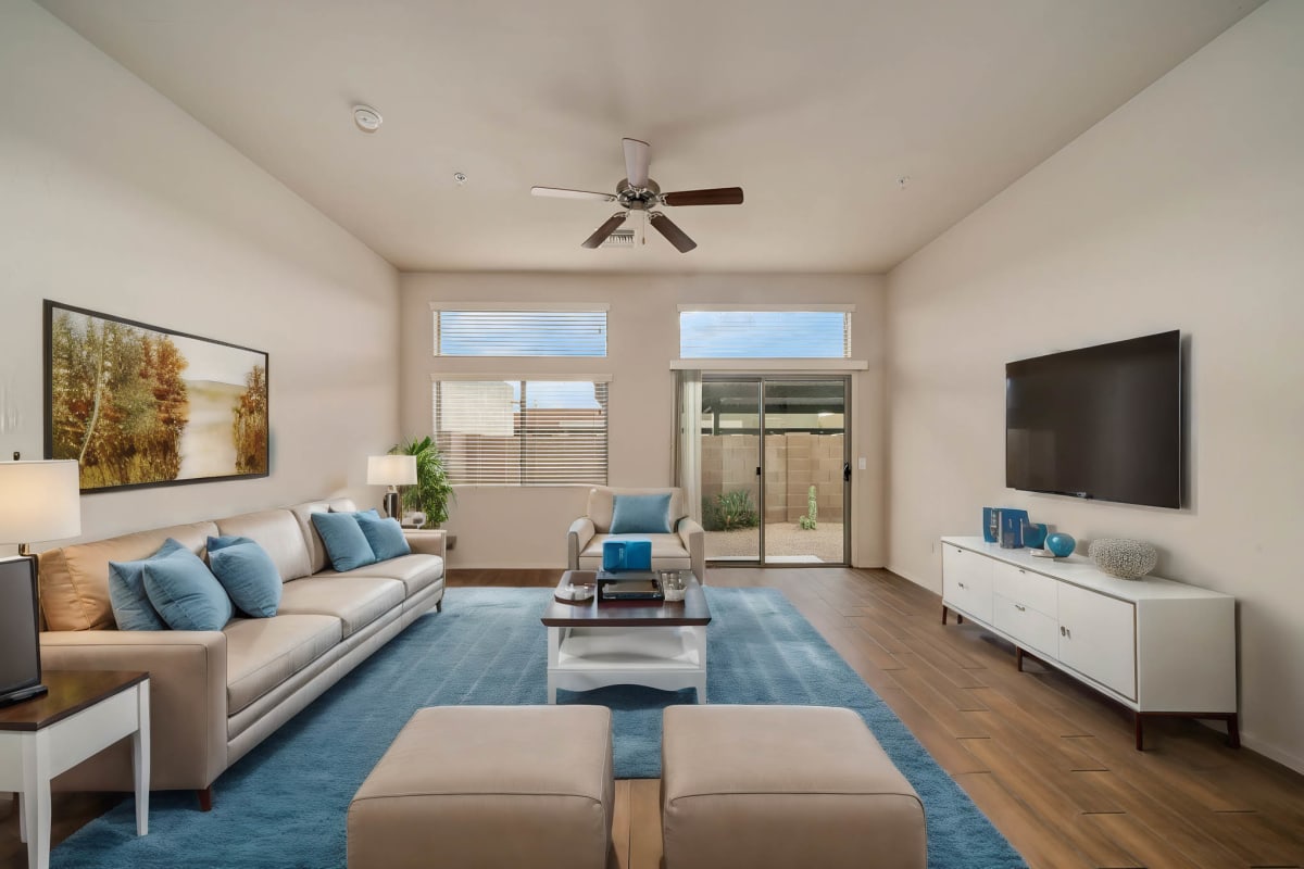 Photos and Video | Avilla River | Tucson, AZ