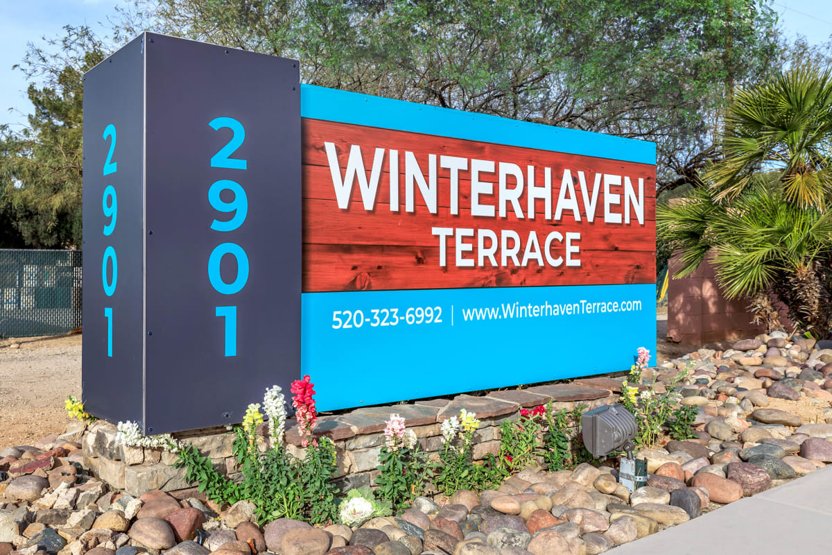 Photos and Video of Winterhaven Terrace in Tucson, AZ